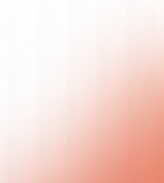 SOX Audit: Step-by-Step Process | Zluri